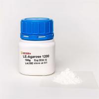 China High Purity And Low EEO Agarose Powder For DNA Electrophoresis 9012-36-6 N9052 100g for sale