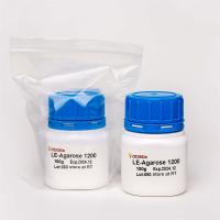 China High Purity And Low EEO Agarose Powder For DNA Electrophoresis 9012-36-6 N9052 100g for sale