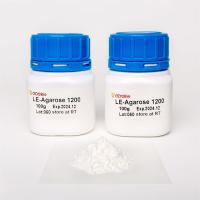 China Agarose Gel Powder DNA RNA PCRElectrophoresis reagent N9051 500g for sale