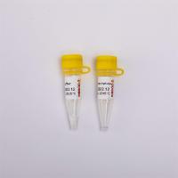 China cDNA Rt PCR Gold Reverse Transcriptase R3001 2000U R3002 10000U for sale