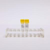 China cDNA Rt PCR Gold Reverse Transcriptase R3001 2000U R3002 10000U for sale