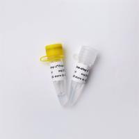 China High Specificity One Step RNA/DNA RT QPCR Master Mix V3 for sale
