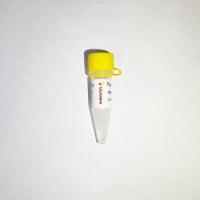 China 5X Reverse Transcription Mixture PowerScript RT SuperMix for sale