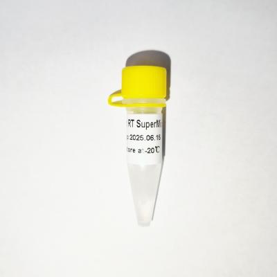 China First Strand CDNA Synthesis PowerScript RT SuperMix for sale