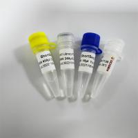 China ShortSeq Library Prep Kit for sale