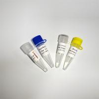 China Convenient And Fast DNA Illumina Library Construction Solution For Short Sequence DNA Samples for sale