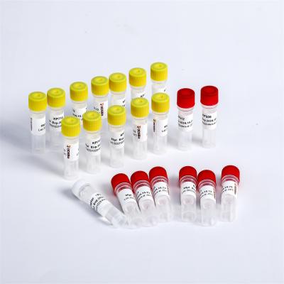 China Multiplex Oligos 2 Special Adapter Primer Kit For Illumina K002-B for sale