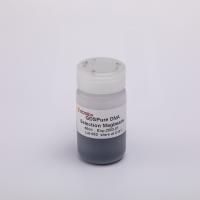 China NGS Library Construction GDSPure DNA Size Selection And Cleanup Magbeads for sale