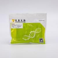 China Ultra - High Fidelity NGS Multiplex PCR Master Mix II , 2X for sale
