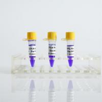 China Taq Mix Ⅱ P2011b PCR Master Mix High Sensitivity Specificity for sale