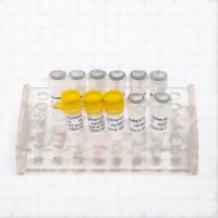 China GDSlyo One-step Probe RT-qPCR Kit For Lyophilized Reagents for sale