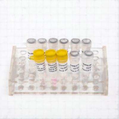 China GDSlyo Hotstart Taq Polymerase For Lyophilized Reagents for sale