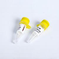 China Super TaqPlus Green PCR Mix #K034 150X Fidelity Of Taq for sale