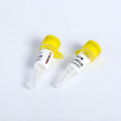 China Super TaqPlus Green PCR Mix #K034 150X Fidelity Of Taq for sale
