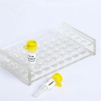 China SuperII Hotstart Taq Polymerase P1211/P1212/P1213/P1214 for sale