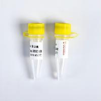 China Klenow Fragment 3-5 exo- #K010 for sale