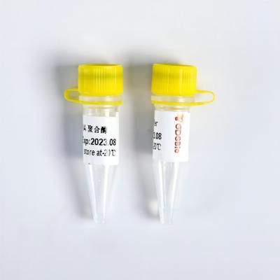 China Klenow Fragment 3-5 exo- #K010 for sale