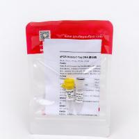 China Fast  T4 DNA Ligase (Fast) #K012 for sale