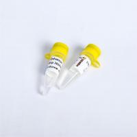 China Fast Restriction Endonuclease SmaI 100 Bags/Day for sale