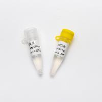 China Fast Restriction Endonuclease SacI For Molecular Cloning for sale