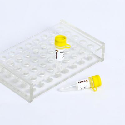 China Fast Restriction Endonuclease Esp3I for sale