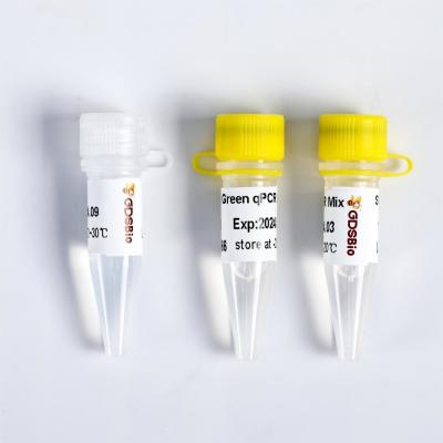 China Fast Restriction Endonuclease PvuI for sale