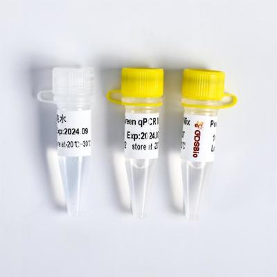 China Fast Restriction Endonuclease XhoI for sale