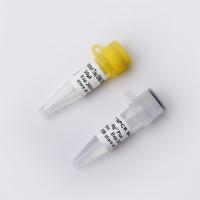 China Fast Restriction Endonuclease EcoRI for sale
