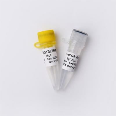 China Fast Restriction Endonuclease BglII for sale