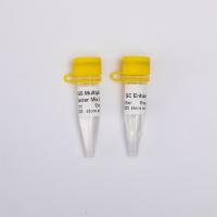 China General Reagents T4 Beta-glucosyltransferase for sale