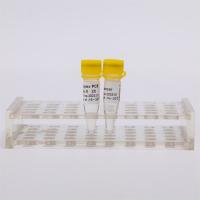 China Professional Grade Molecular Biology DNA Polymerase I for sale