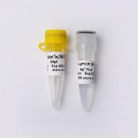 China T7 RNA Polymerase for sale
