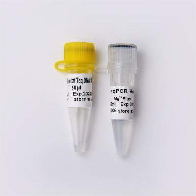 China T7 RNA Polymerase for sale