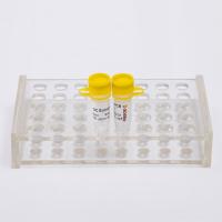 China DNase I, RNase-Free Molecular Tool Enzyme for sale