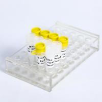 China Fast Restriction Endonuclease NotI for sale