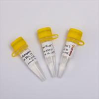 China Grade Molecular Biology Thermosensitive Alkaline Phosphatase for sale