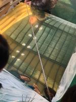China Mirror Aluminum Sheet 1100 3003 Silver Reflective Coating for Decorative Panels Lighting Fixtures for sale
