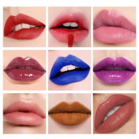 China 3g Long Lasting Lipstick Waterproof Matte Lipstick Red Pink for sale