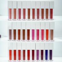 China 3g Long Lasting Lipstick Waterproof Matte Lipstick Red Pink for sale