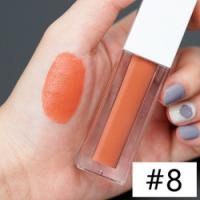 China 3g Long Lasting Lipstick Waterproof Matte Lipstick Red Pink for sale
