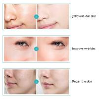 China Apple Stem Cell Wrinkle Removal Serum Antioxidant Serum For Sensitive Skin for sale