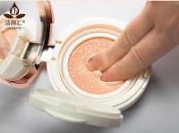 China Female Moisturizing Concealer Face Makeup Cosmetics Air Cushion BB for sale