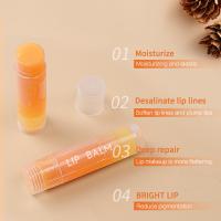 China ISO OEM Skin Care Products Orange Anti Drying Lipstick Lip Lines Treatment Lip Balm for sale