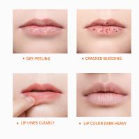 China Natural Moisturizing Lip Balm Repair Exfoliating Organic Plumper Vegan Lip Balm Daily Care for sale