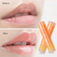 China Natural Moisturizing Lip Balm Repair Exfoliating Organic Plumper Vegan Lip Balm Daily Care for sale