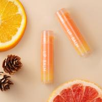 China Natural Moisturizing Lip Balm Repair Exfoliating Organic Plumper Vegan Lip Balm Daily Care for sale