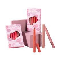China Rotating Sharpenable Matte Lip Liner Crayon Smudge Resistant Hydrating Nude Velvety Feel Lipstick for sale