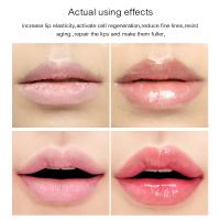 China GMPC Lip Gloss Hydrated Moisturize Refine Dryness Wrinkles Enhances Lip Plump for sale