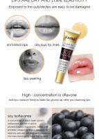 China GMPC Lip Gloss Hydrated Moisturize Refine Dryness Wrinkles Enhances Lip Plump for sale