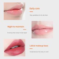 China Oem Private Label Nourishing Lip Balm Natural Vegan Soft Moisturizing Glossy Treatment for sale